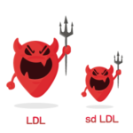 sd LDLコレステロール検査 - 品川メディカルクリニック